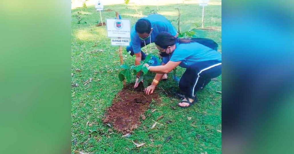 Planting not enough; capitol to monitor tree seedlings’ survival