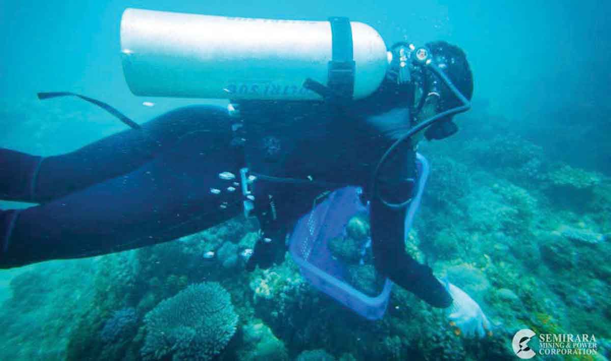 SMPC reseeds 500 endangered clams on Semirara Island