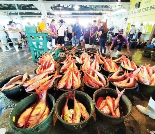 Breaking Stories in Iloilo, Negros, Antique, Capiz & Boracay | Panay News