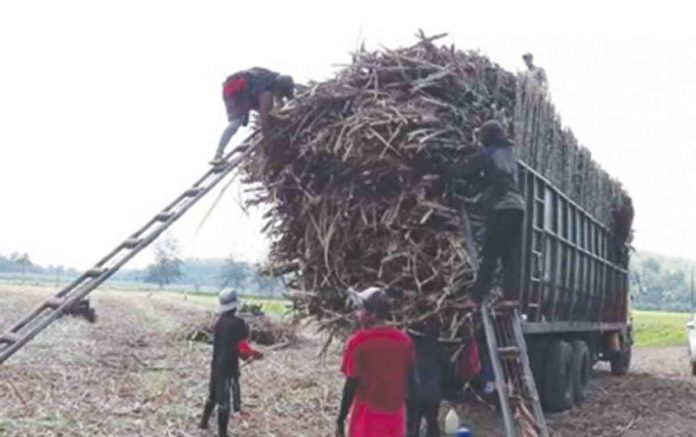 DOLE OKs deployment of Antique sacadas to NegOcc.