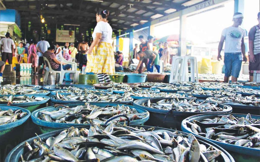 Oil prices affecting fresh fish supply in markets