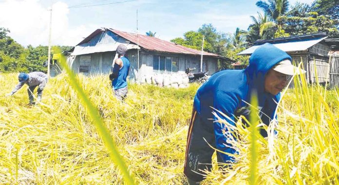 Iloilo guv seeks rice inventory