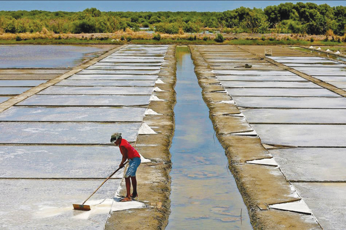 DA, BFAR urged to revitalize salt industry in Antique