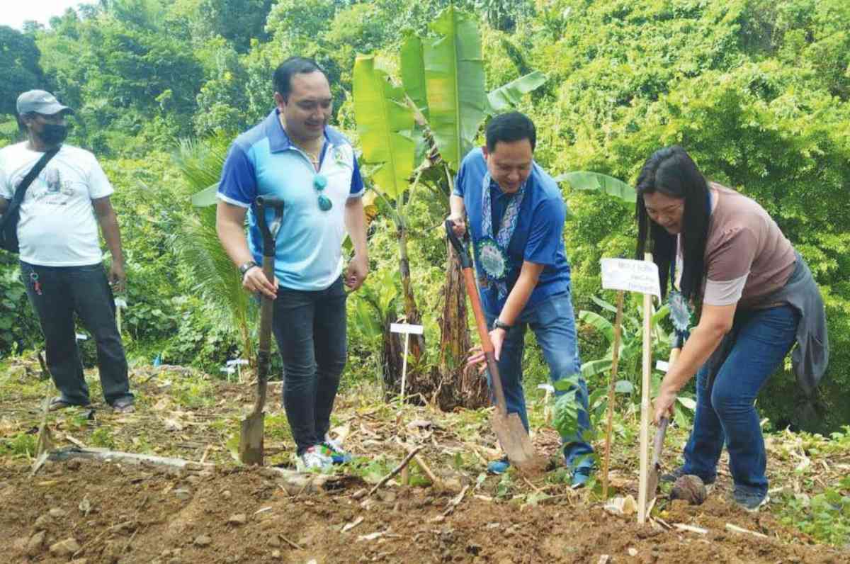 Over 1,000 forest, fruit tree seedlings planted in Btac. Viejo
