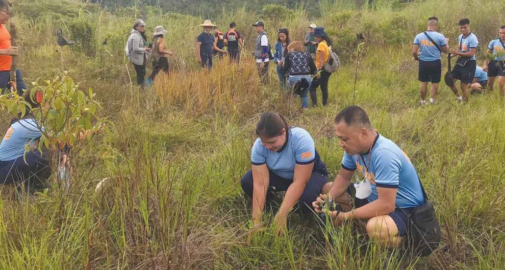 Antique police conducts bamboo and tree planting
