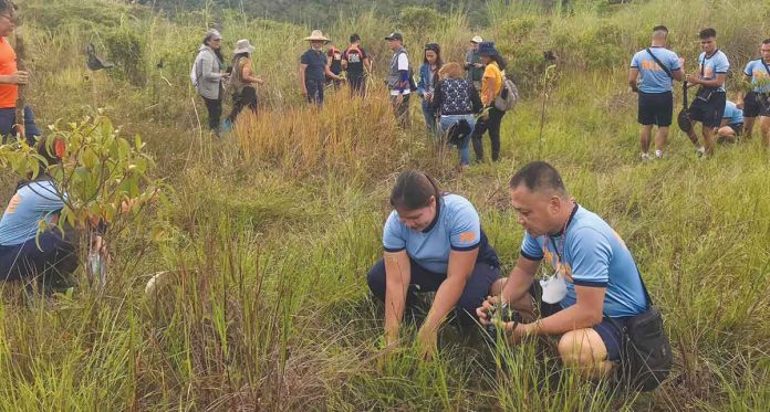 Antique police conducts bamboo and tree planting