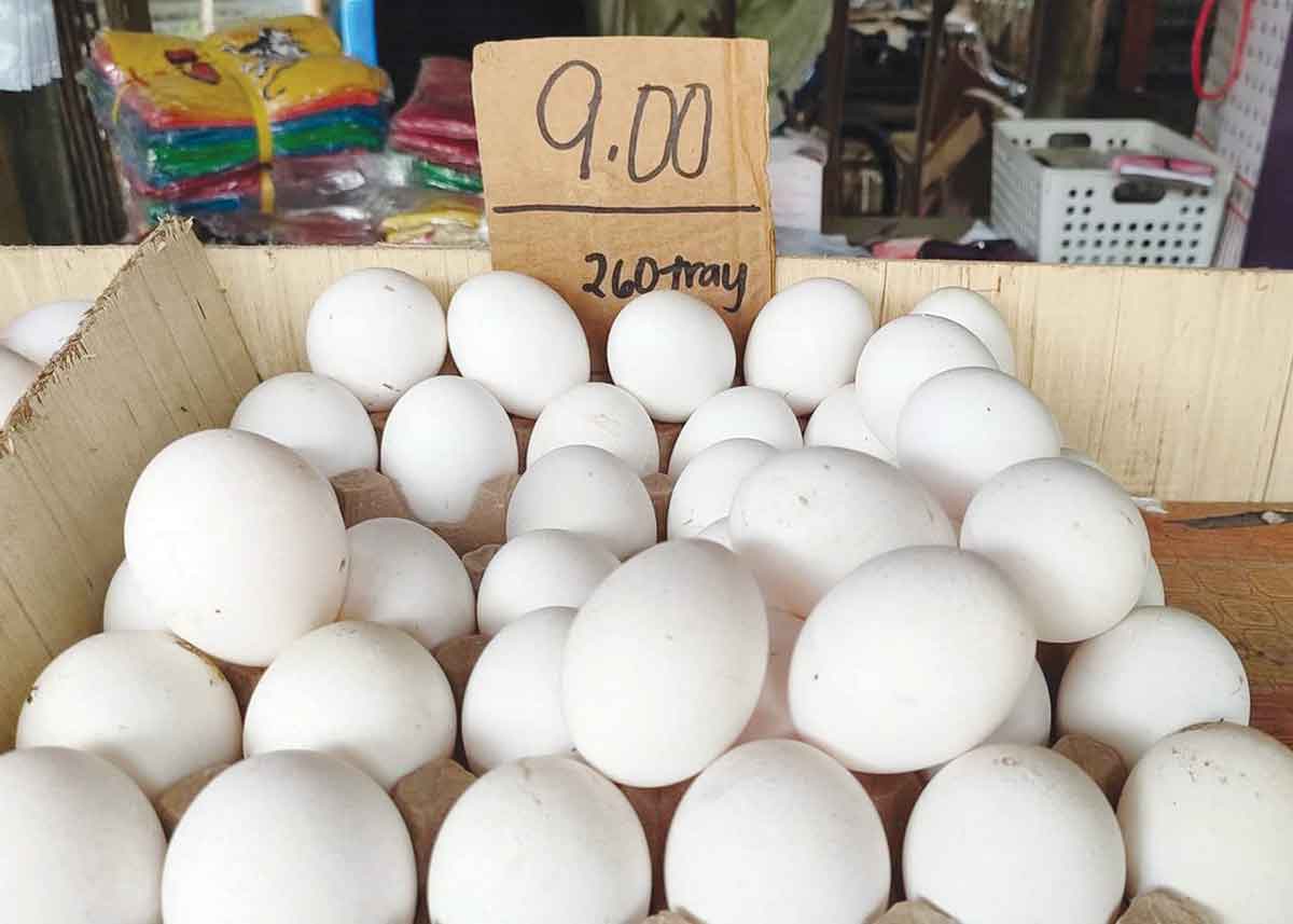Poultry farmers lament low chicken, egg farmgate prices