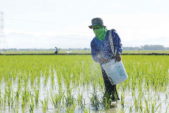 Gov't eyes importing fertilizers from China