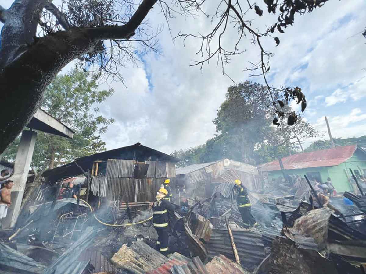 Fire guts 2 houses in Alimodian