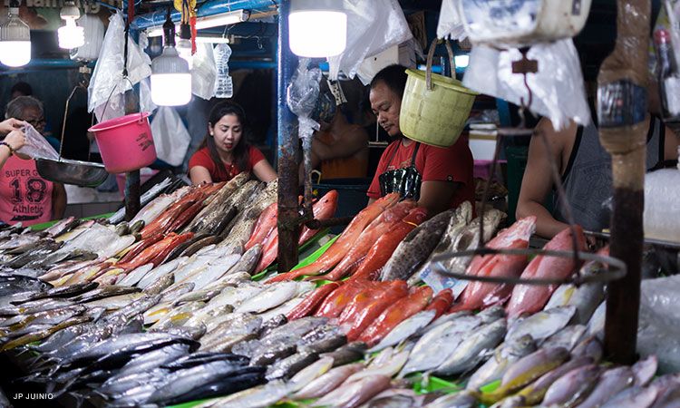 PH to import 25K MT of fish amid closed fishing season