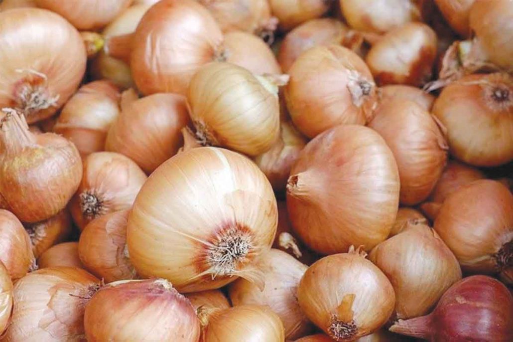 DA warns public against buying onions online