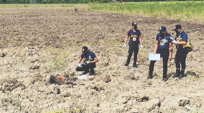 Tractor driver found buried in sugarcane field in Bago