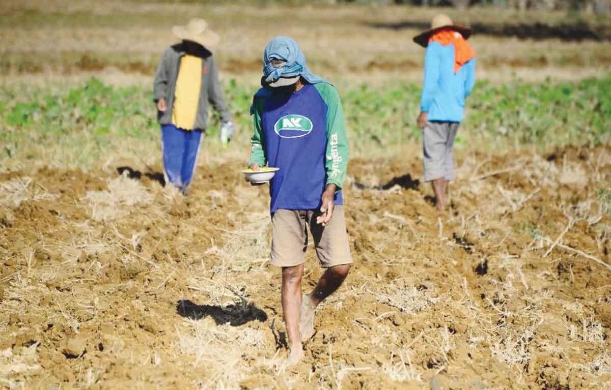 Gov't urged to boost agriculture to mitigate rising food costs