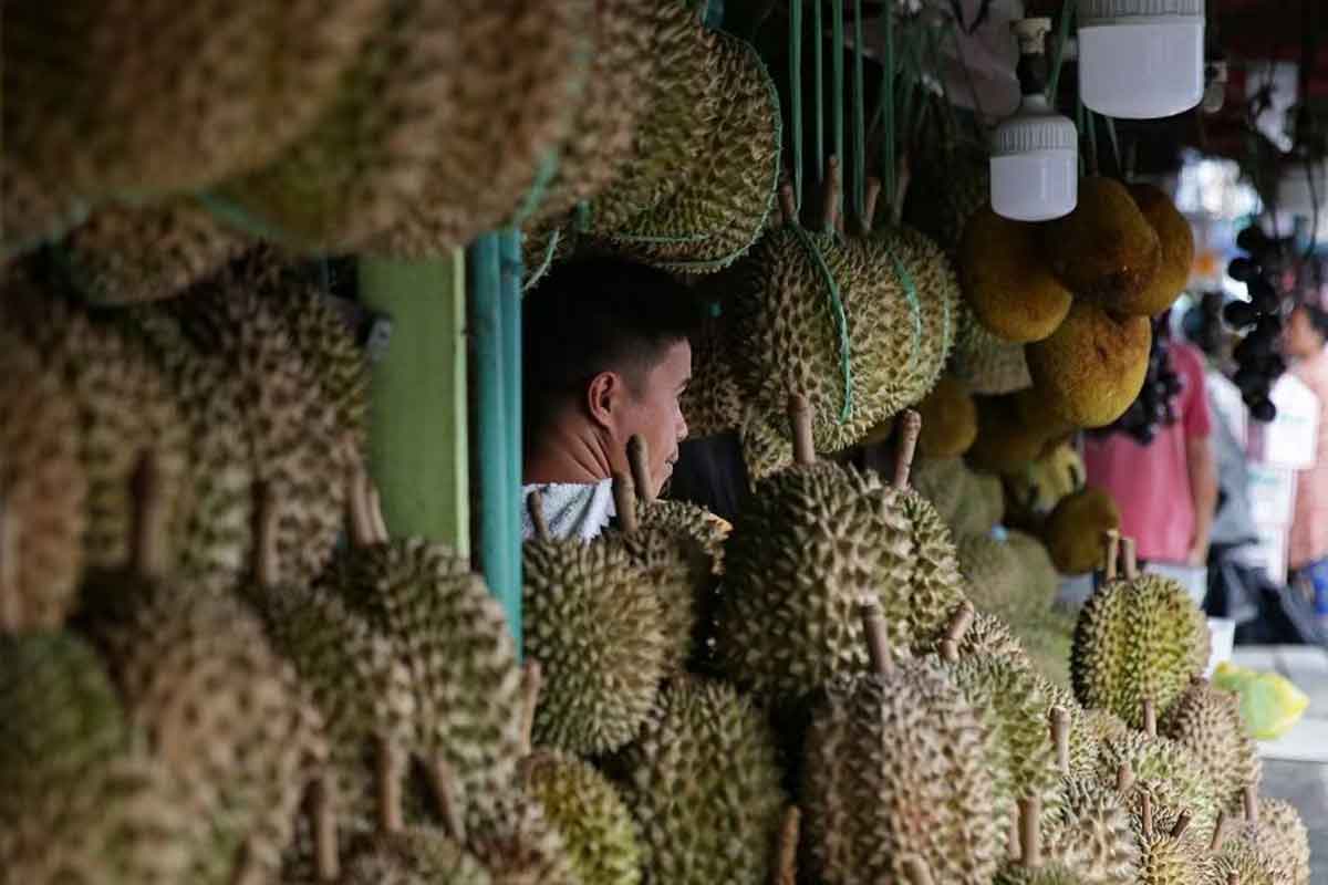China OKs import of durian from PH