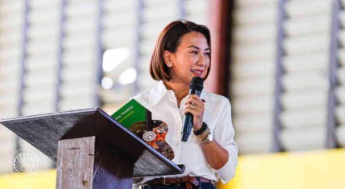 ‘Tourist rest area’ to rise in Tubungan