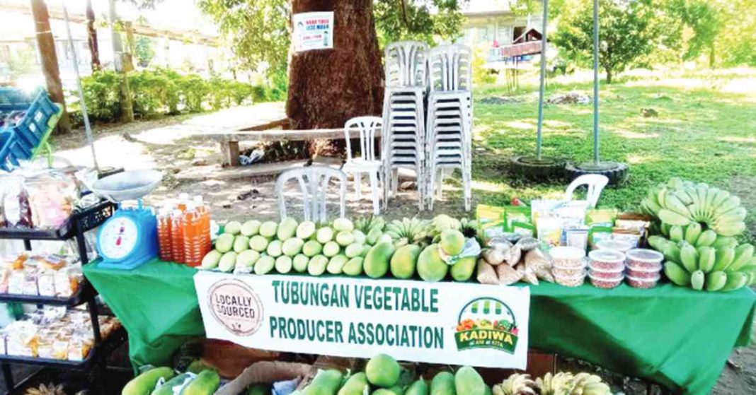 Kadiwa pop-up stores to open in 2 Panay LGUs