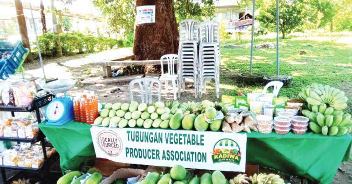 Kadiwa pop-up stores to open in 2 Panay LGUs