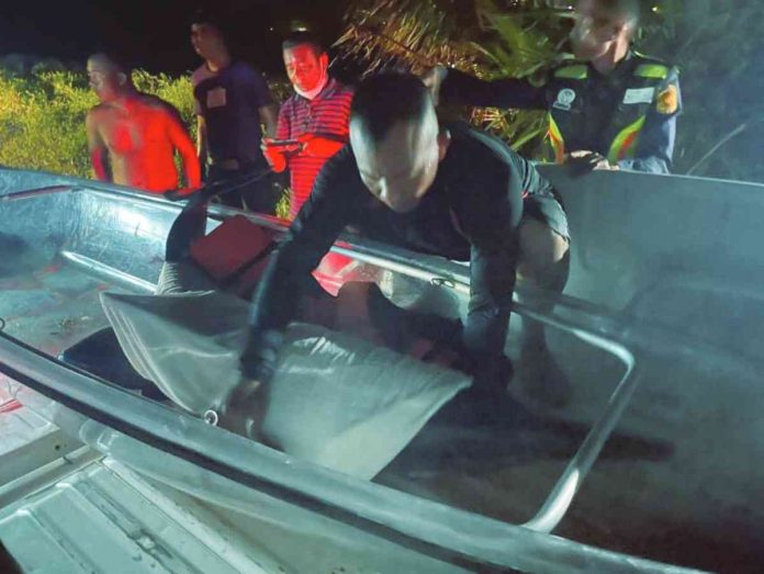 Dolphin rescued in Boracay