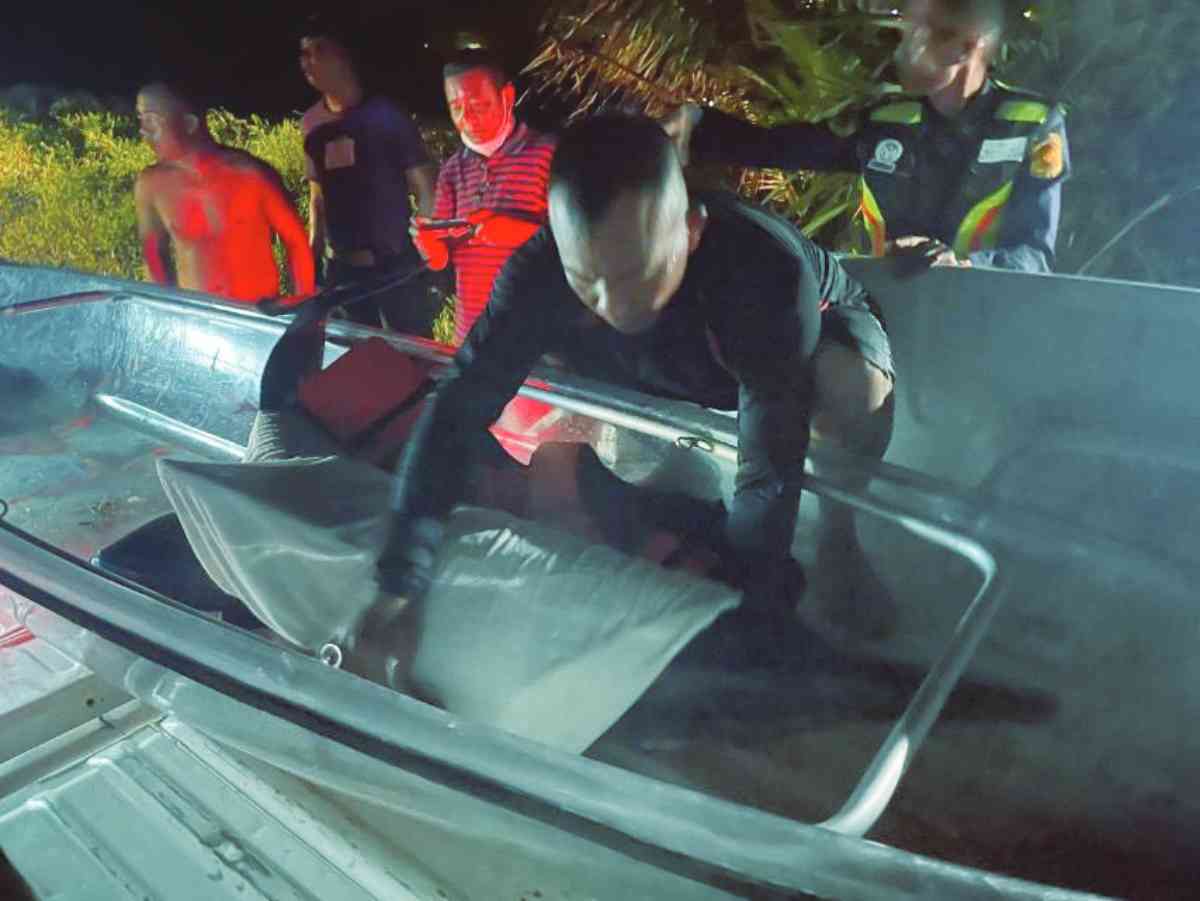 Dolphin rescued in Boracay