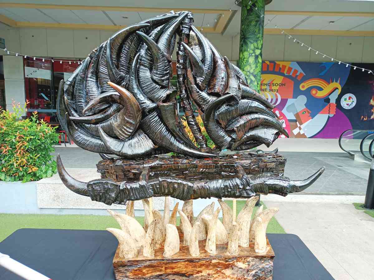 HOIST THE SAILS: 2023 Paraw Regatta Festival