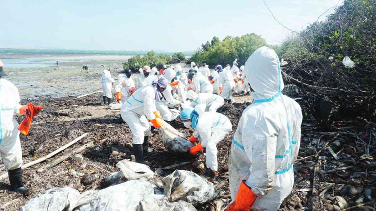 SMPC partners with stakeholders to clean up Mindoro oil spill debris in ...
