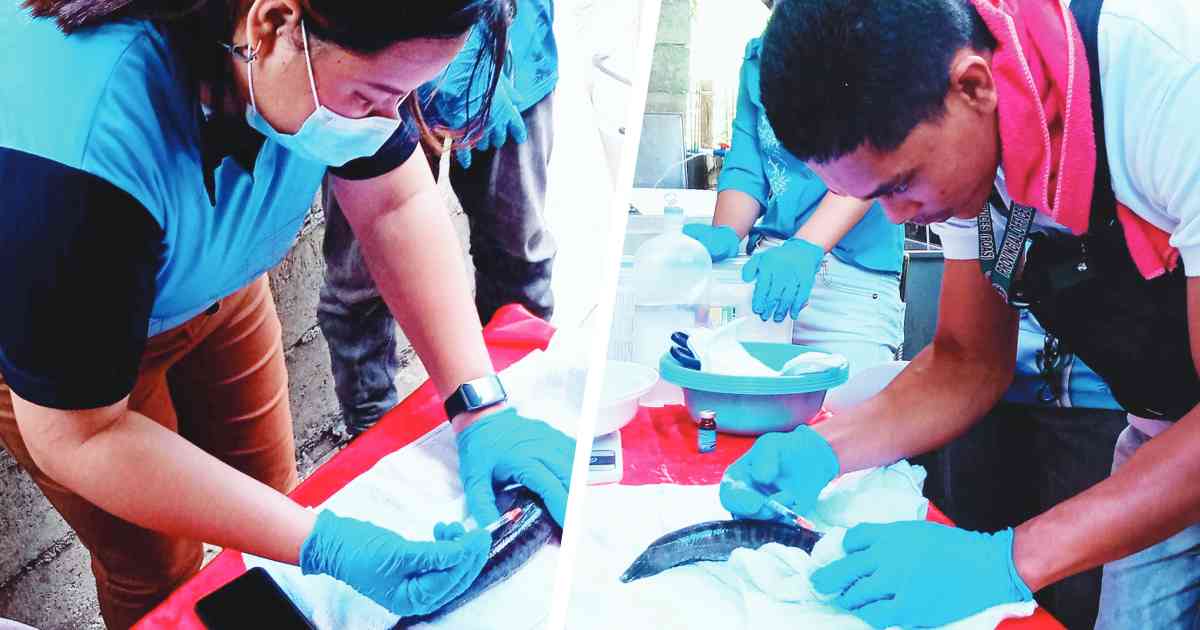 Local farmers taught freshwater fish breeding