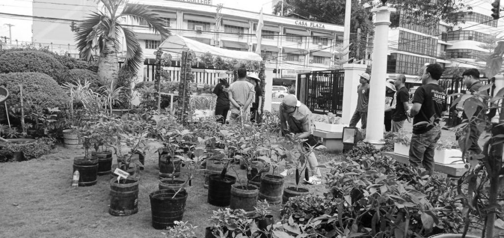 Over 200 farmers join ‘MoRProGRes Gardens’