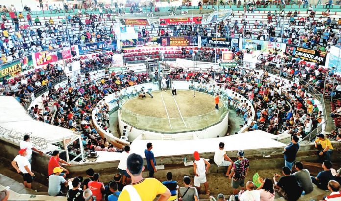 ILOILO GETS STRICT ON COCKFIGHTS; New measure regulates cock derbies