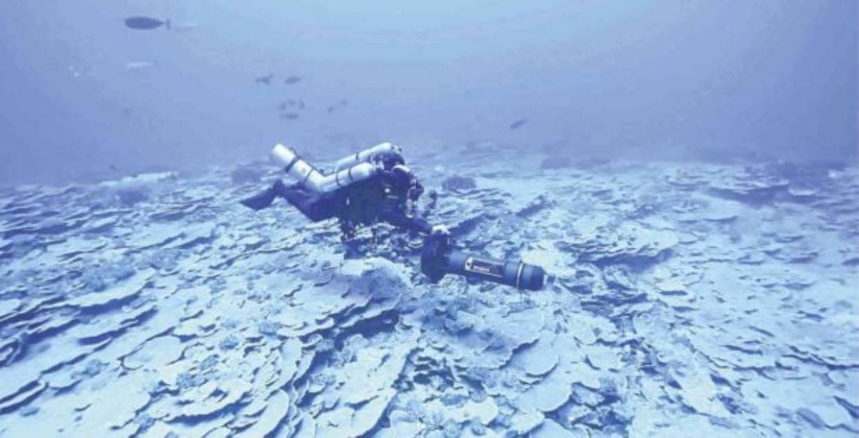 Seabed mining: Lack of checks keeps PH blind to lasting harm