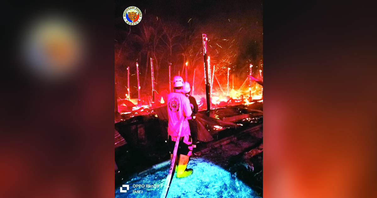 Poultry farm fire burns 21K chicks