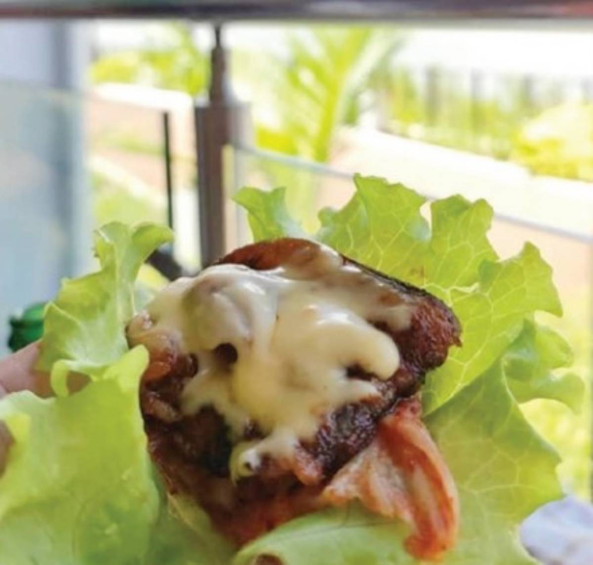 Adapting to the new norm: The rise of Korean Samgyeopsal in Iloilo