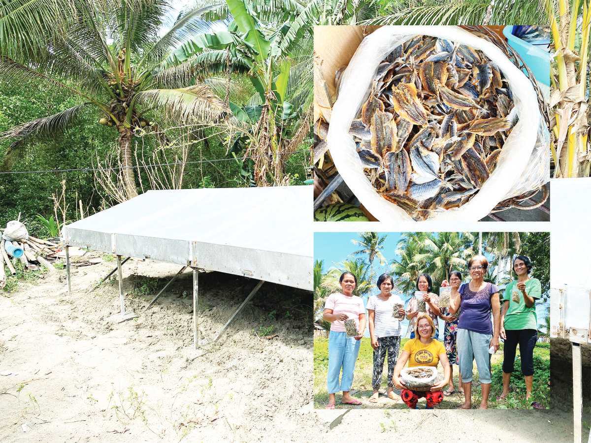 Women’s org in Aklan gets modified solar dryer