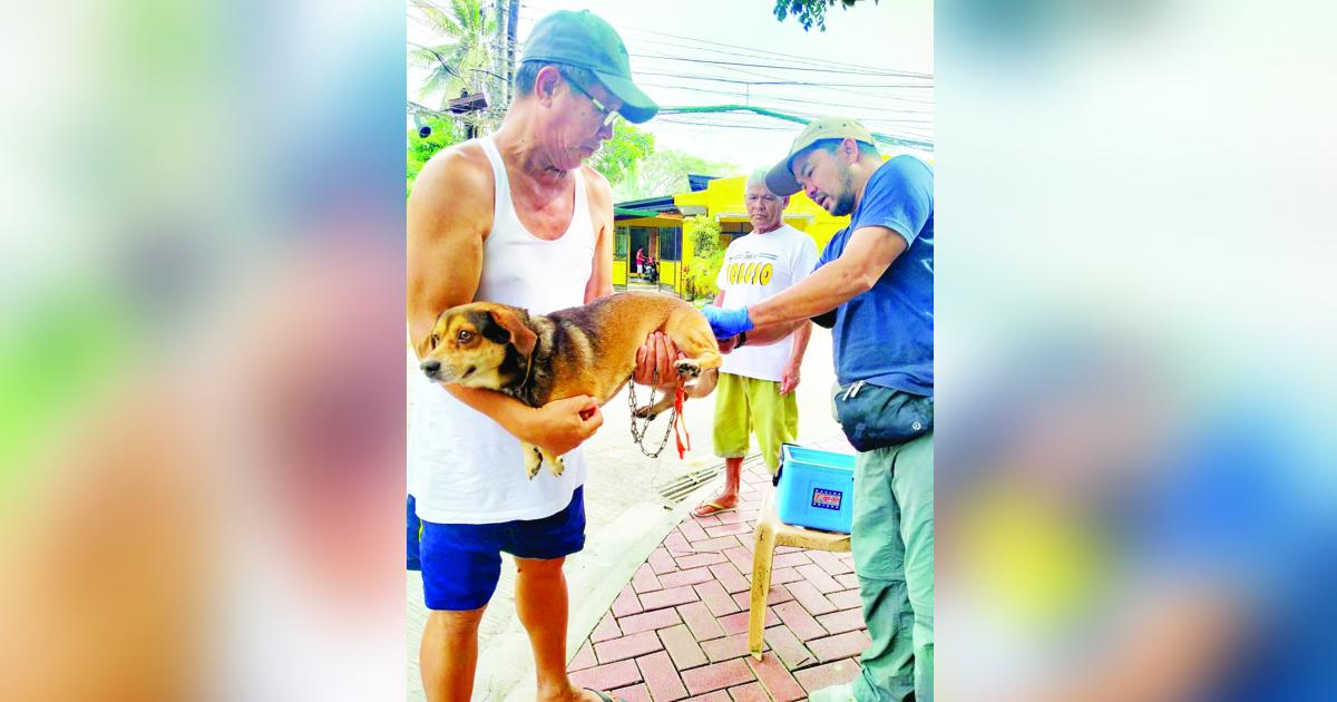 ILOILO LOGS 2ND HUMAN RABIES DEATH; IPHO to public: ‘Don’t consume dog ...