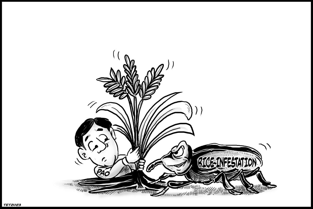 Editorial Cartoon of the Day