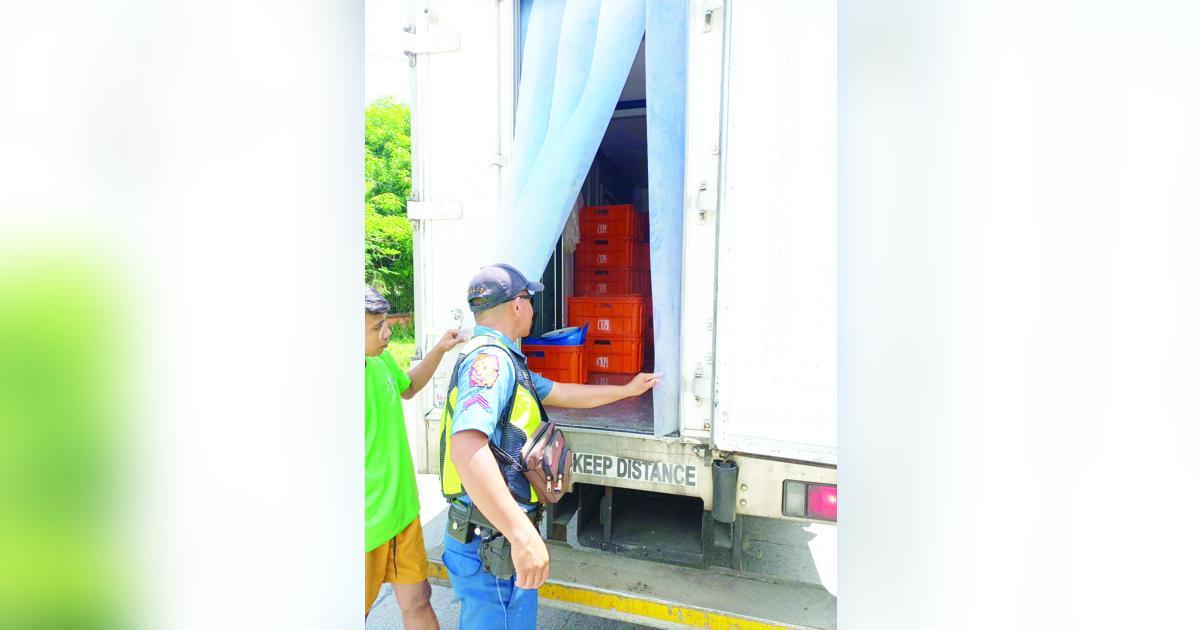 ANTIQUE ASF-FREE NO MORE; 4 blood samples from Hamtic positive for ASF ...