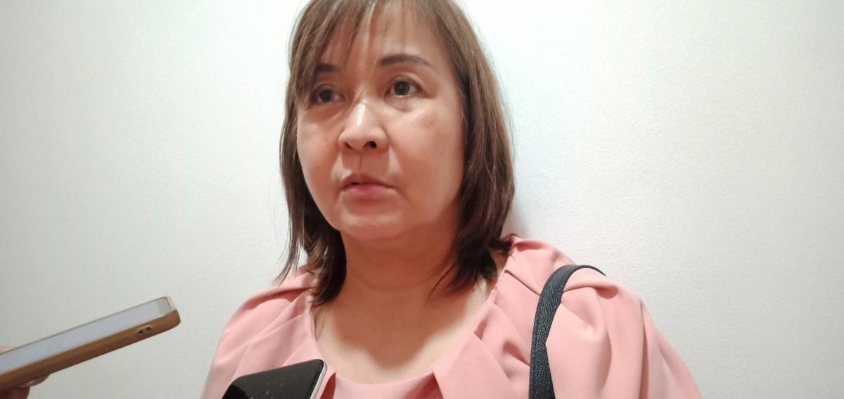 DPWH-6 director ‘ready’ for House probe on Ungka flyover