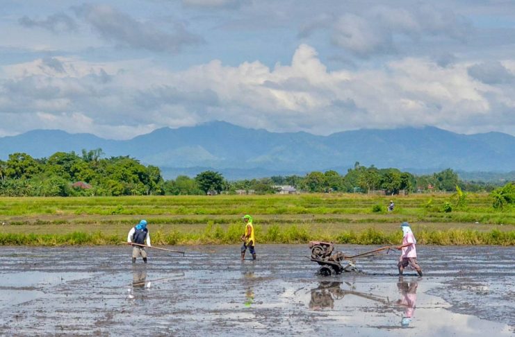 Iloilo Archives - Page 896 of 1126 - Panay News