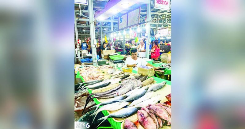 NO FISH SHORTAGE; Western Visayas 125% fish sufficient – BFAR