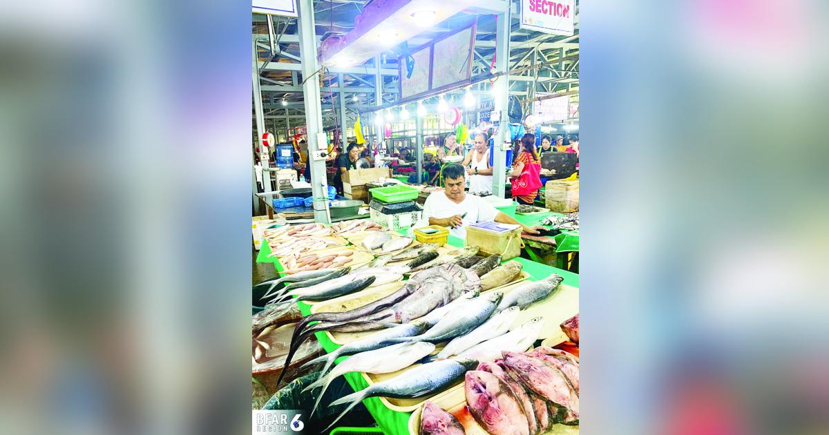NO FISH SHORTAGE; Western Visayas 125% fish sufficient – BFAR