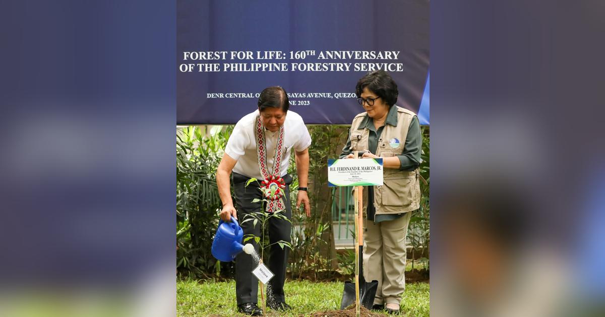 DENR targets 1M hectares for reforestation