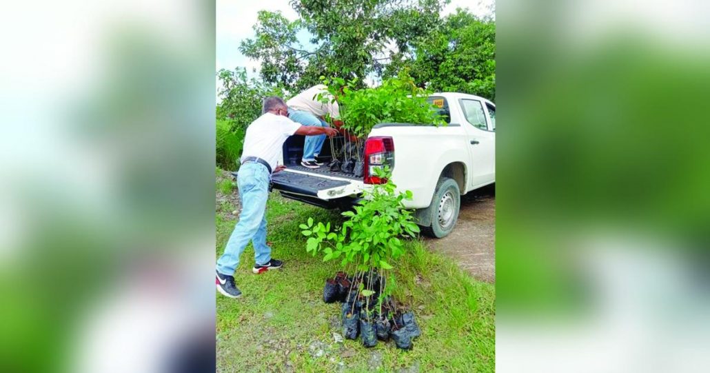 A GREENER FUTURE; Iloilo City gov’t on track to create sustainable ...