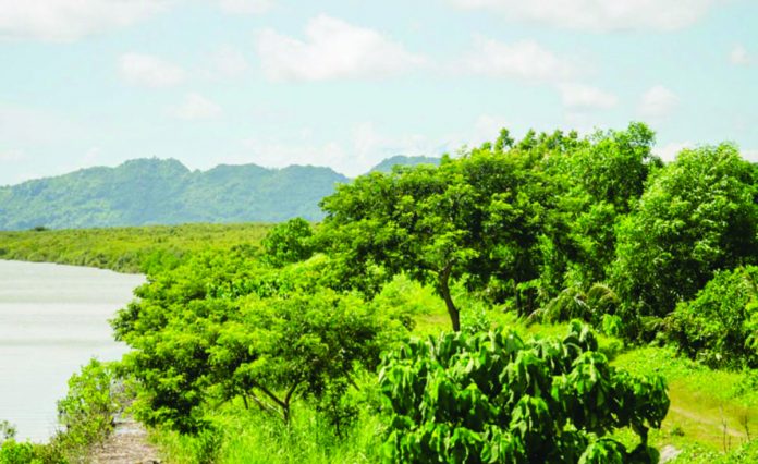 A GREENER FUTURE; Iloilo City gov’t on track to create sustainable ...