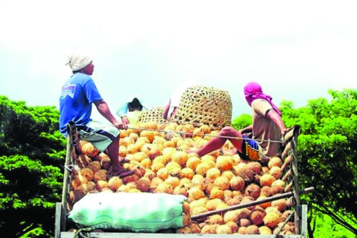 Invest in technology to ensure coco industry resilience, PCA told