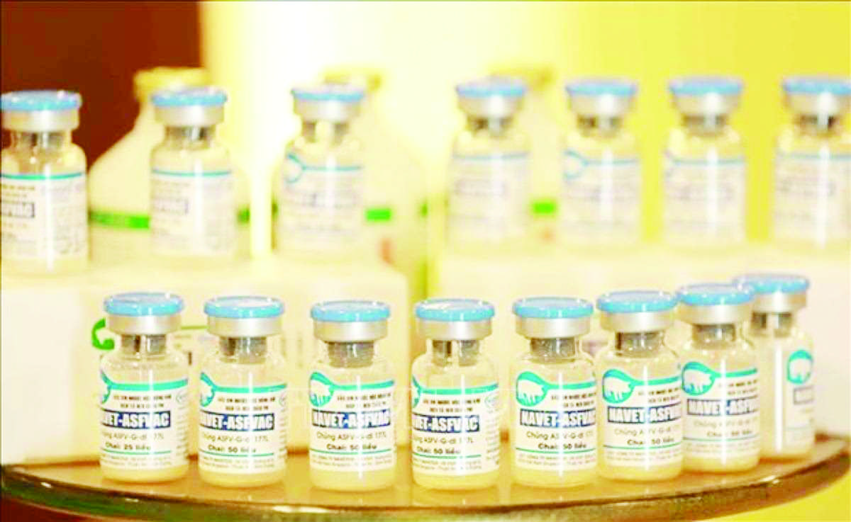 Vietnam to export 2 million ASF vaccine doses to PH by October
