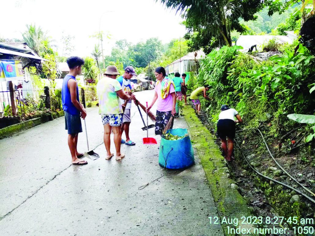 Frequent cleanup lowers dengue cases in Antique