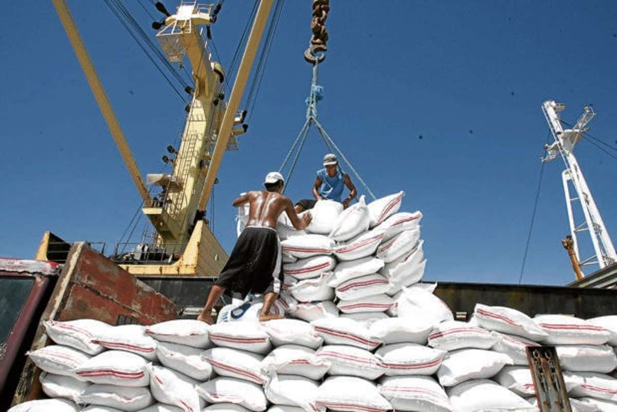 300,000 MT imported rice to arrive Aug.-Sept. – rice industry group