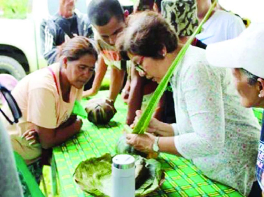 Cocolisap infestation in NegOcc ‘under control’