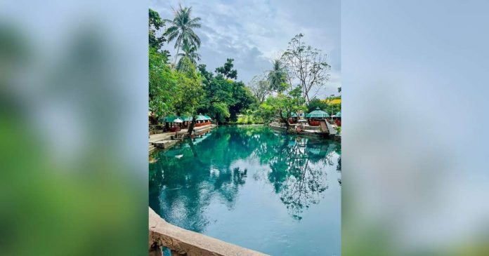 Antique logs 72K tourist arrivals