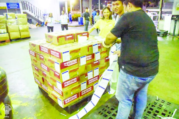 PH revives fresh mango exports to Australia