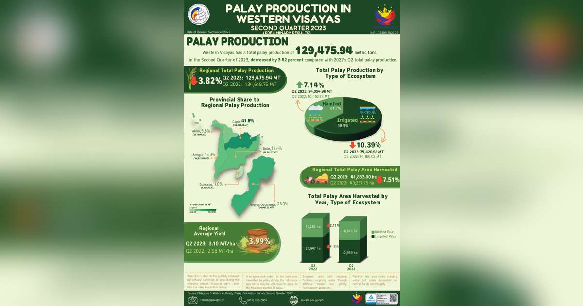 W. Visayas Q2 palay production down 3.82 %